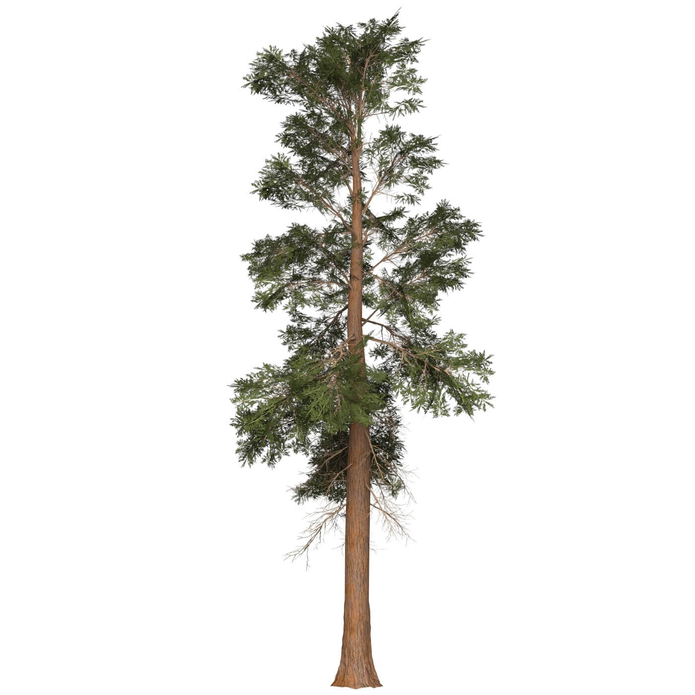 Game Ready Tree 22 - 3D Model by TreeWorld3d