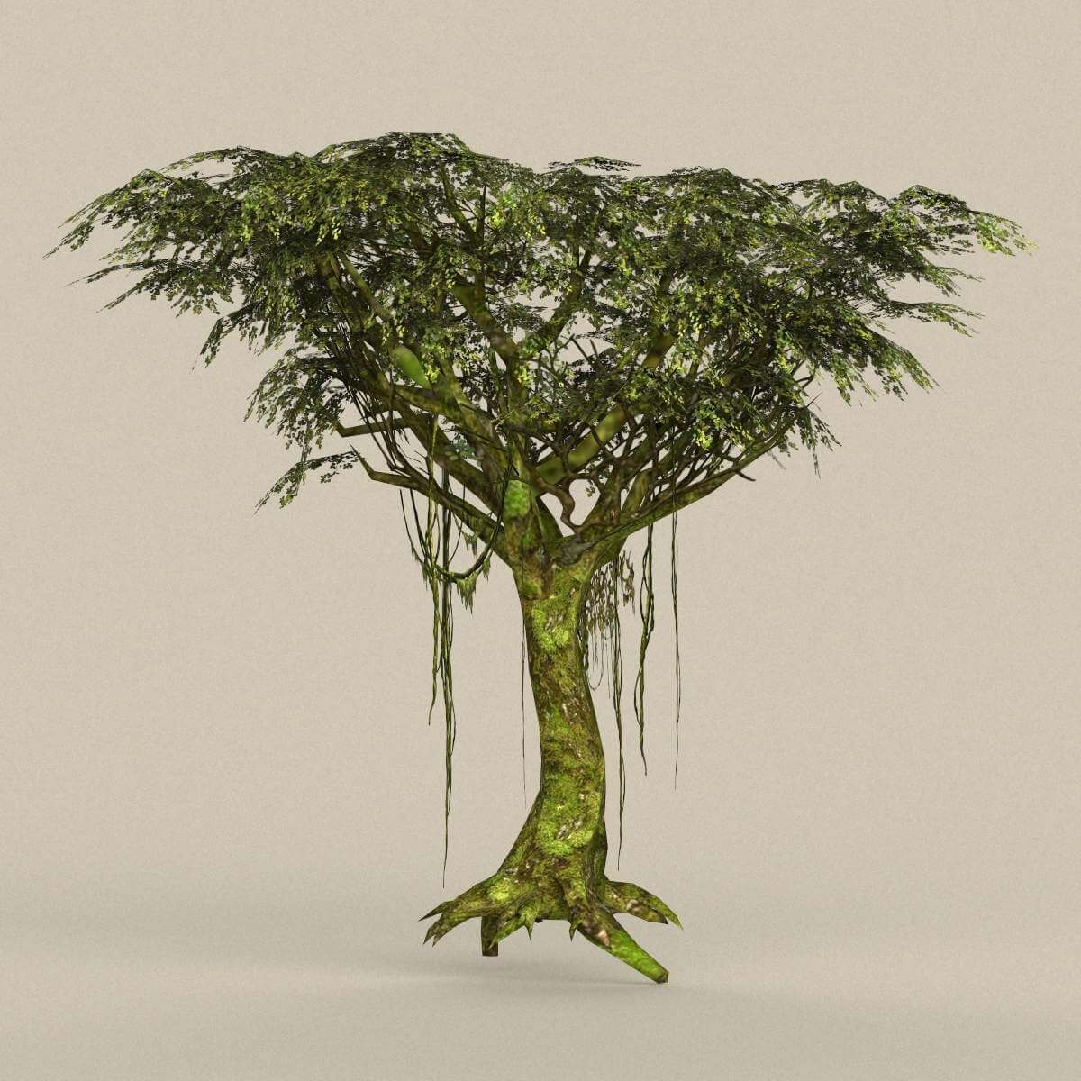 Tree 24 - 3D Model by TreeWorld3d