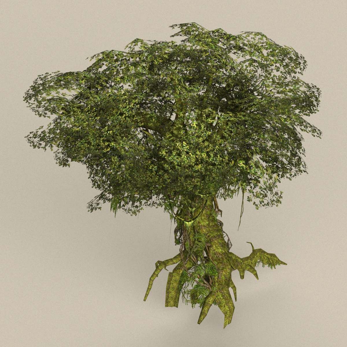 Tree 25 - 3D Model by TreeWorld3d