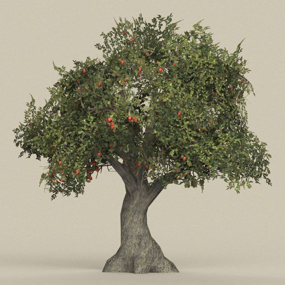 Tree 26 - 3D Model by TreeWorld3d