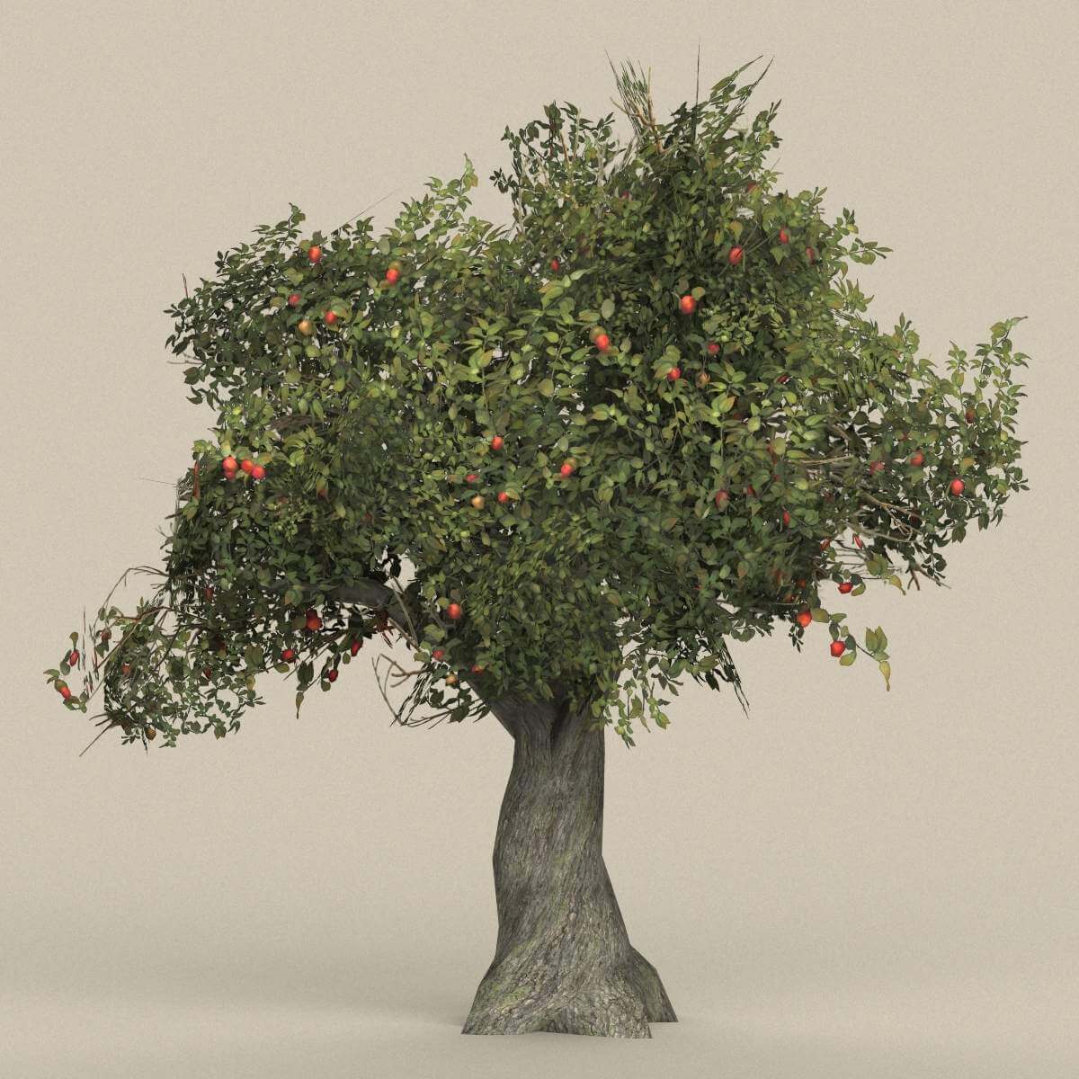 Tree 26 - 3D Model by TreeWorld3d