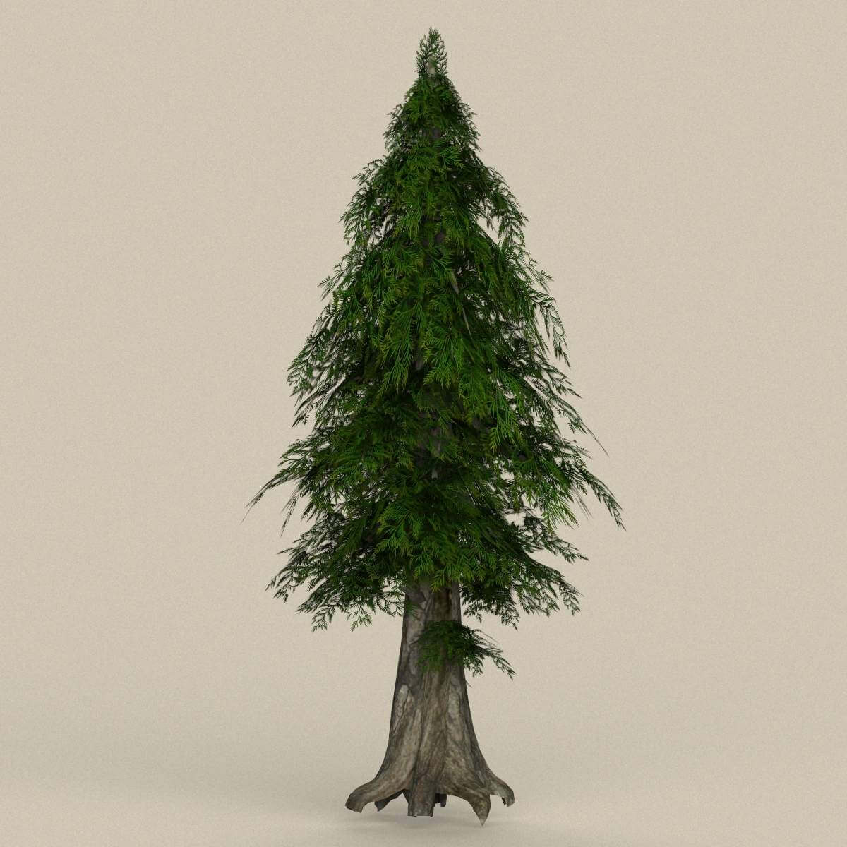 Tree 28 - 3D Model by TreeWorld3d