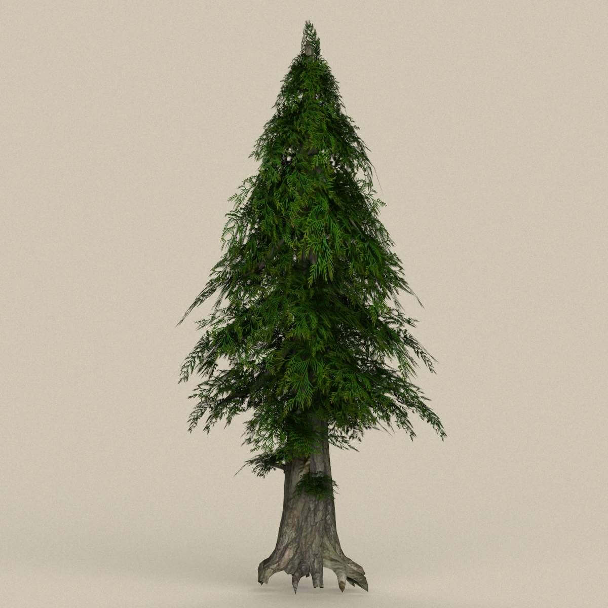 Tree 28 - 3D Model by TreeWorld3d