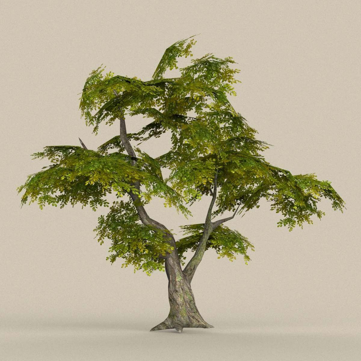 Tree 30 - 3D Model by TreeWorld3d