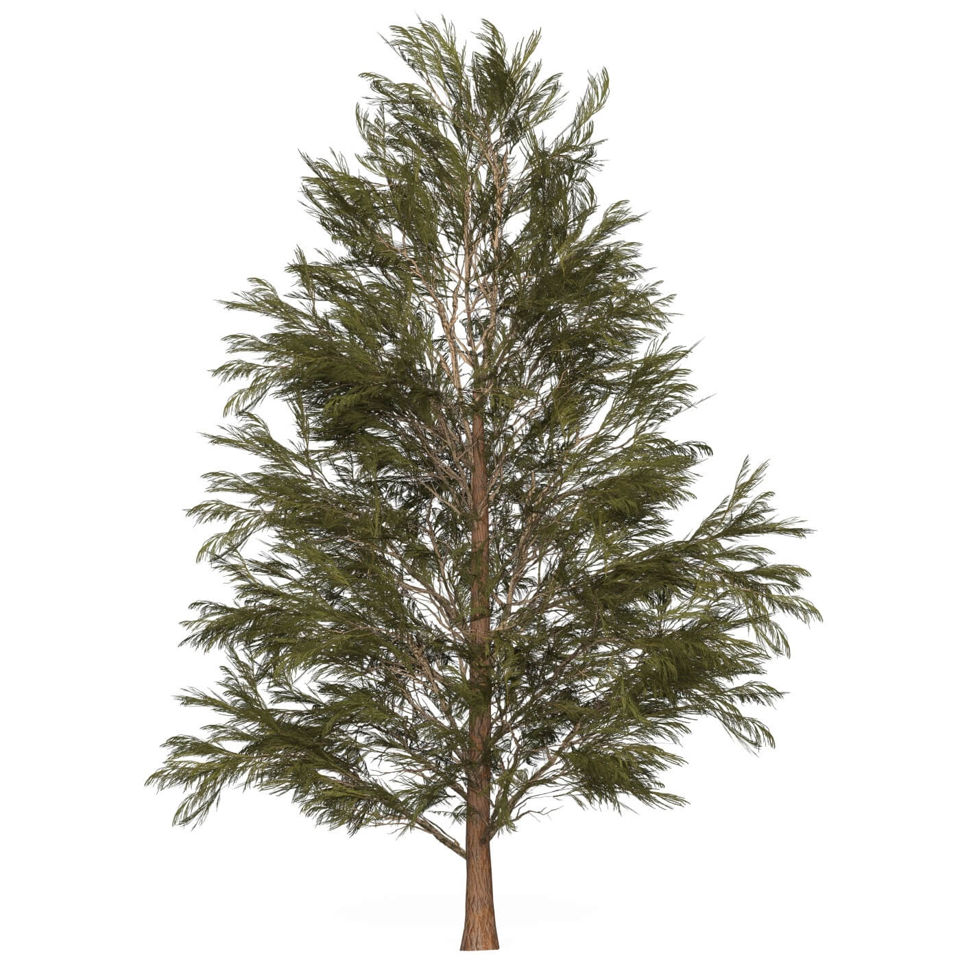 Game Ready Tree 31 - 3D Model by TreeWorld3d