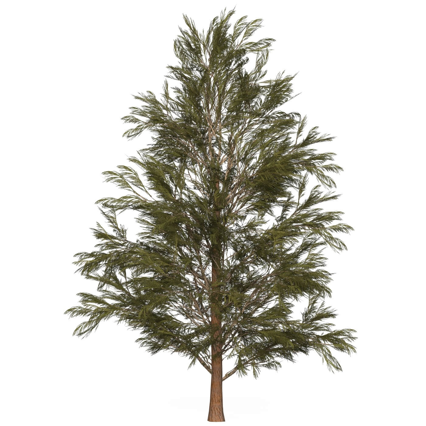 Game Ready Tree 31 - 3D Model by TreeWorld3d