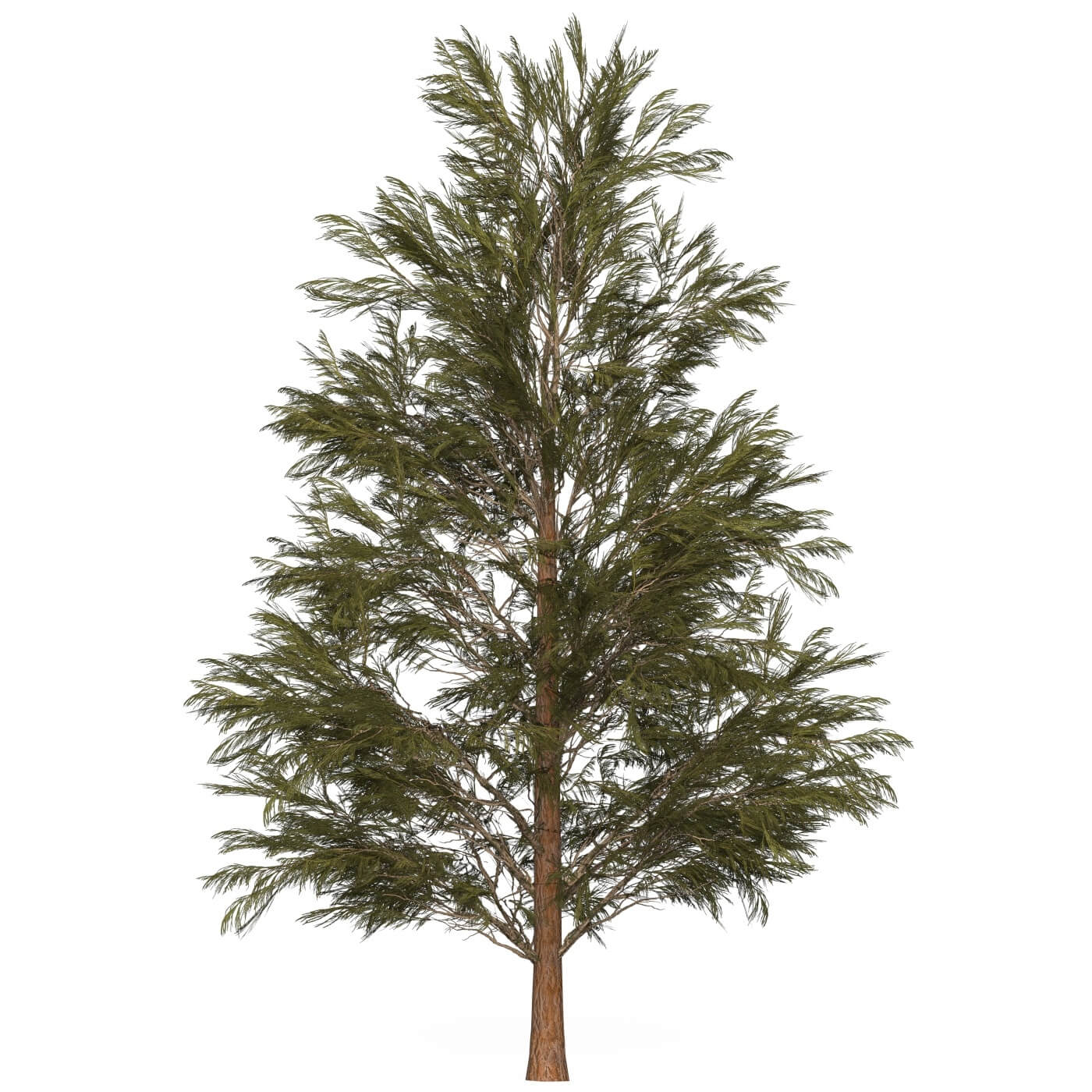 Game Ready Tree 31 - 3D Model by TreeWorld3d