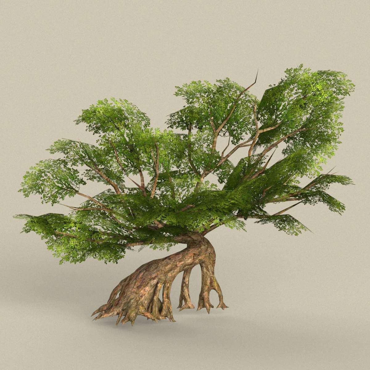 Tree 31 - 3D Model by TreeWorld3d