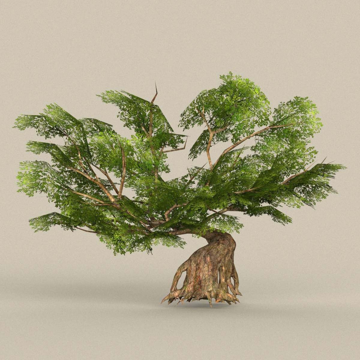 Tree 31 - 3D Model by TreeWorld3d