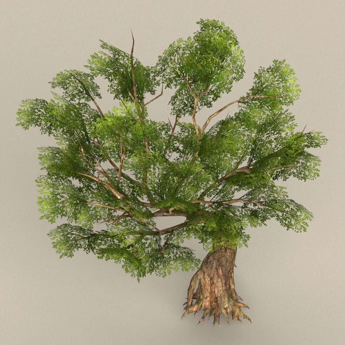 Tree 31 - 3D Model by TreeWorld3d