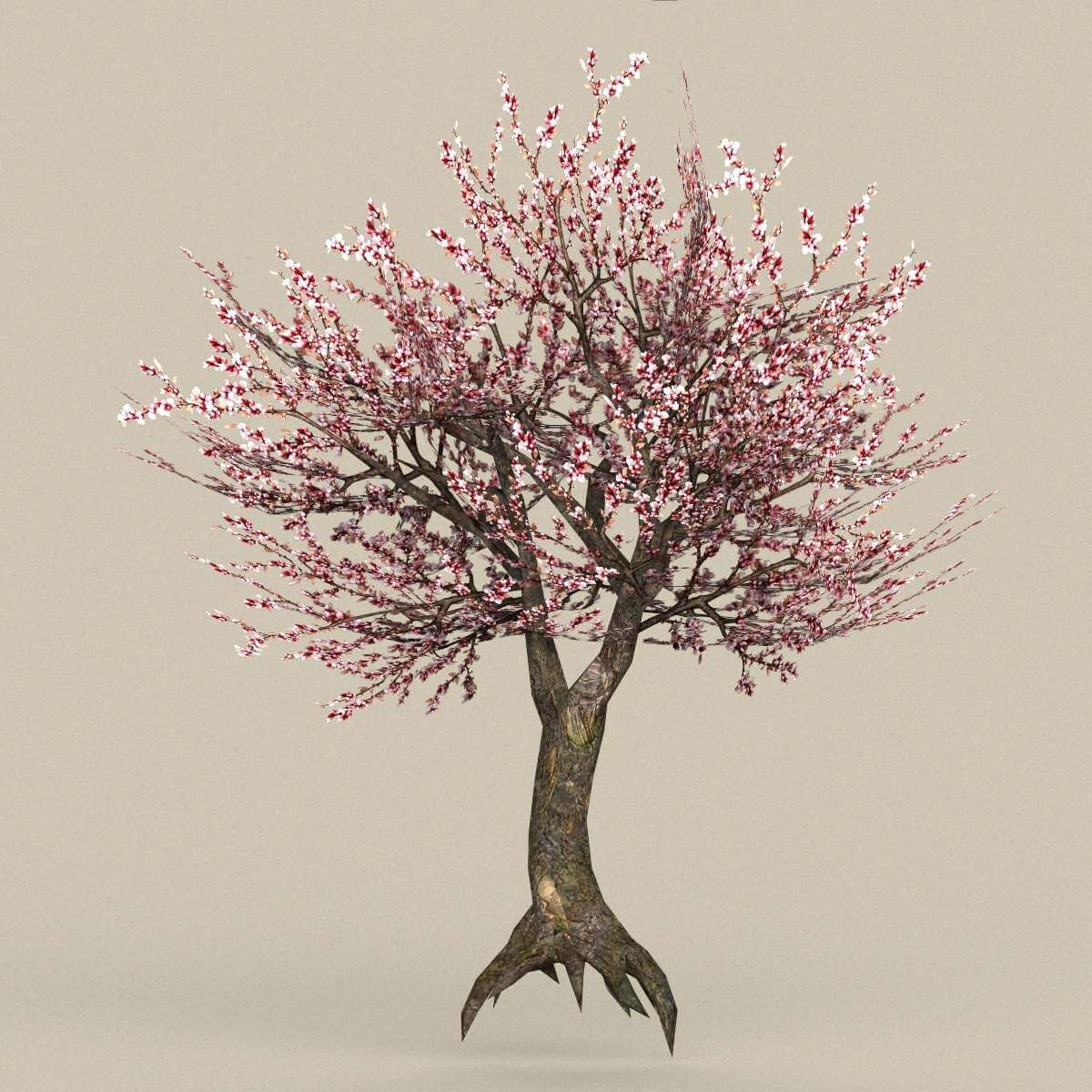 Tree 32 - 3D Model by TreeWorld3d