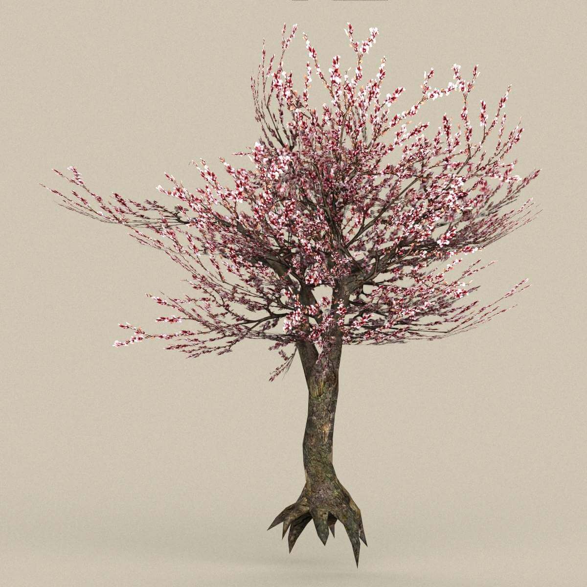 Tree 32 - 3D Model by TreeWorld3d