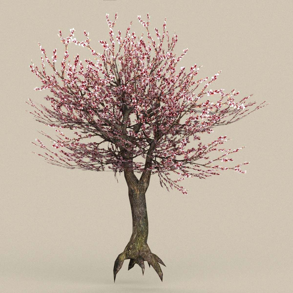 Tree 32 - 3D Model by TreeWorld3d