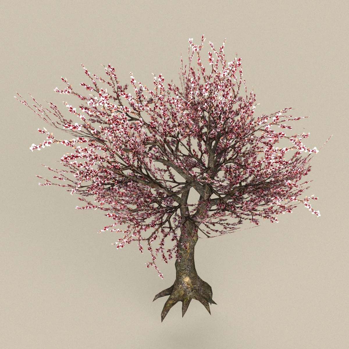 Tree 32 - 3D Model by TreeWorld3d