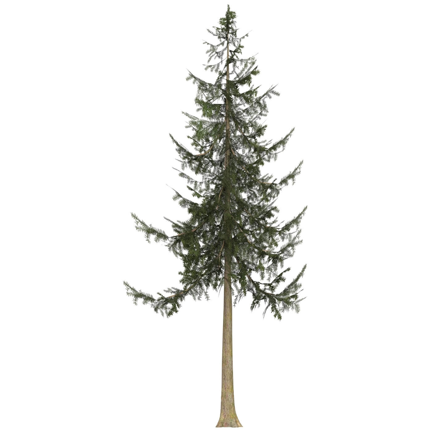 Game Ready Tree 33 - 3D Model by TreeWorld3d