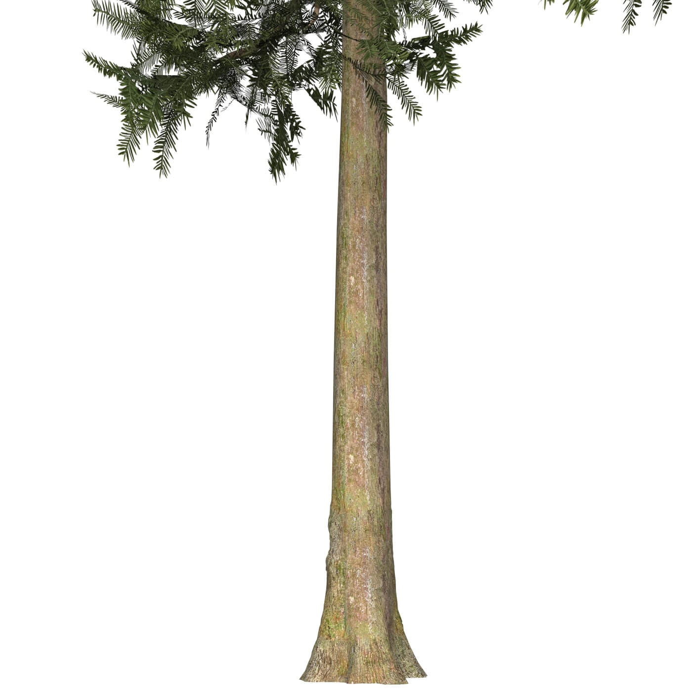 Game Ready Tree 33 - 3D Model by TreeWorld3d