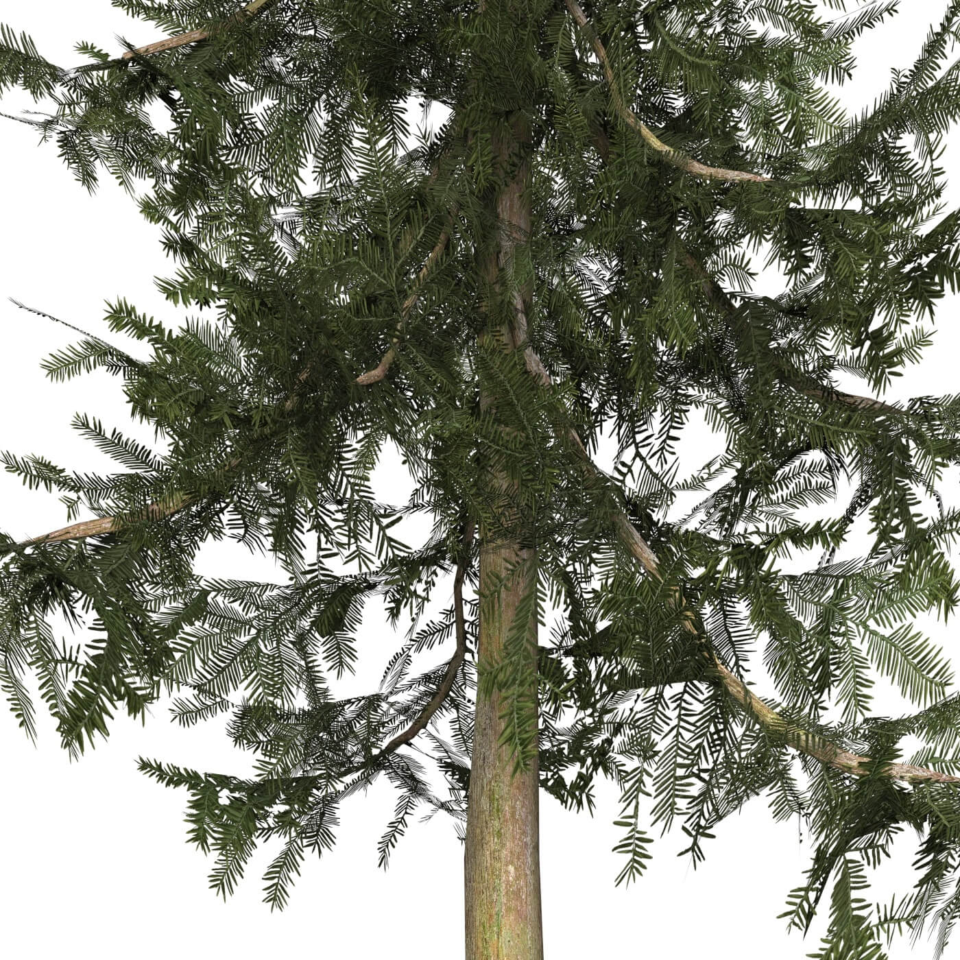 Game Ready Tree 33 - 3D Model by TreeWorld3d
