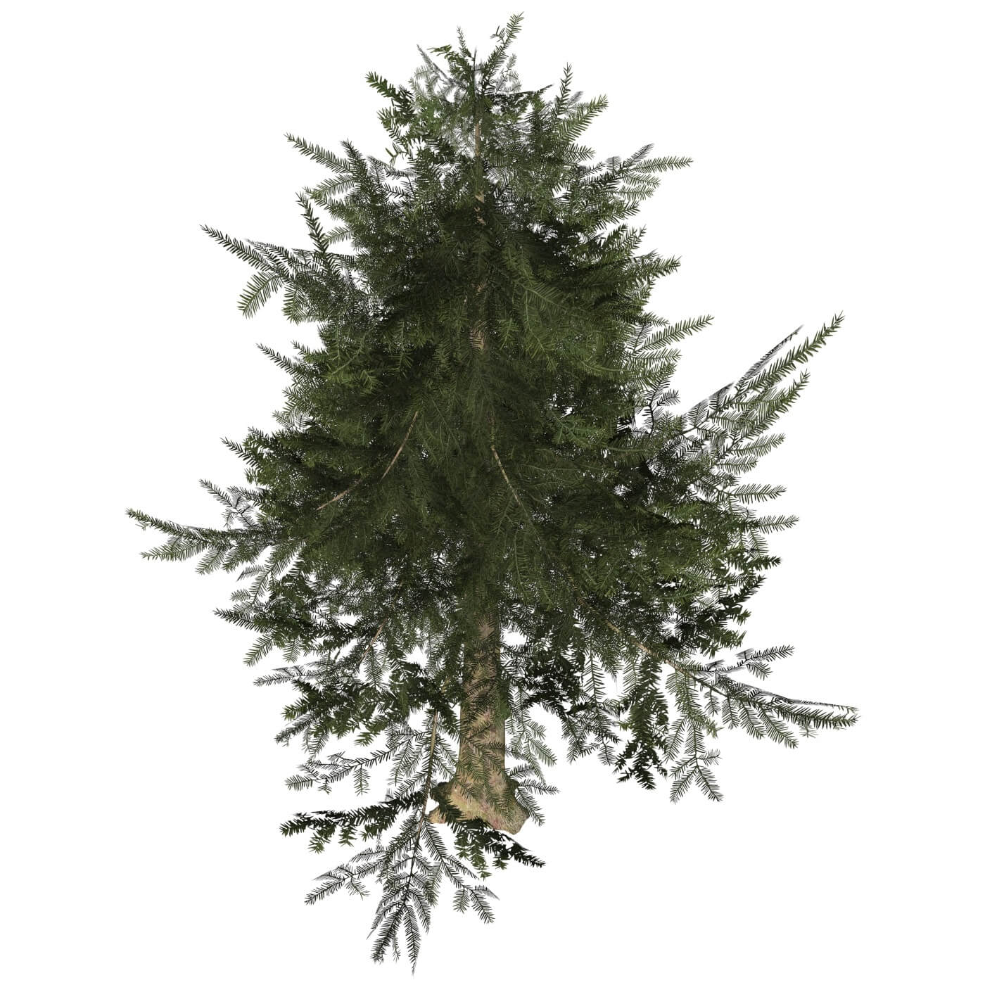Game Ready Tree 33 - 3D Model by TreeWorld3d
