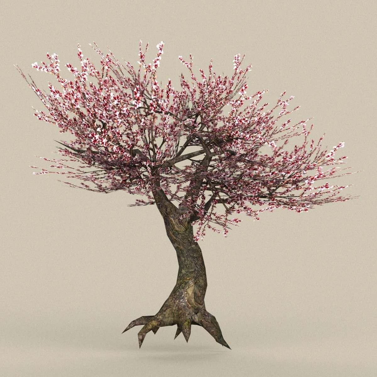 Tree 33 - 3D Model by TreeWorld3d