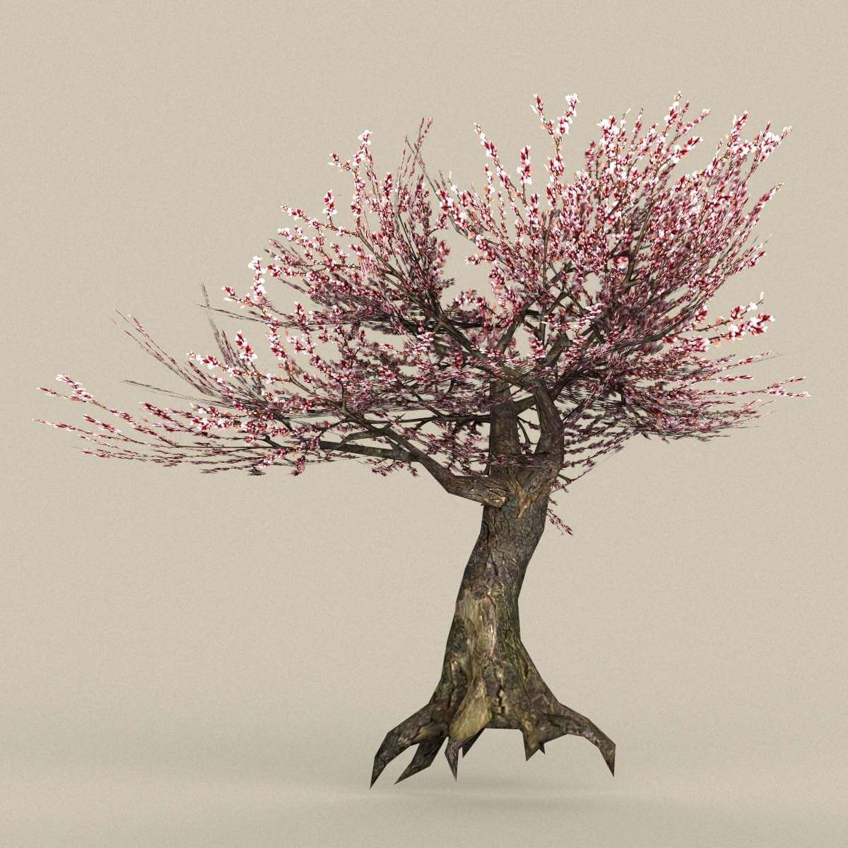 Tree 33 - 3D Model by TreeWorld3d