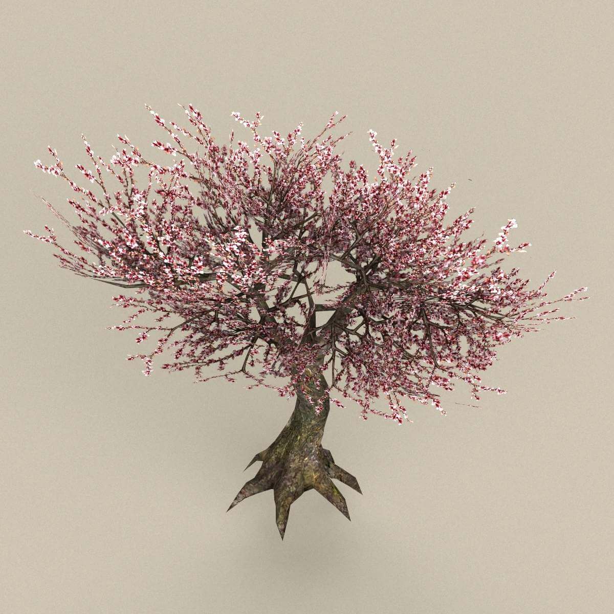 Tree 33 - 3D Model by TreeWorld3d