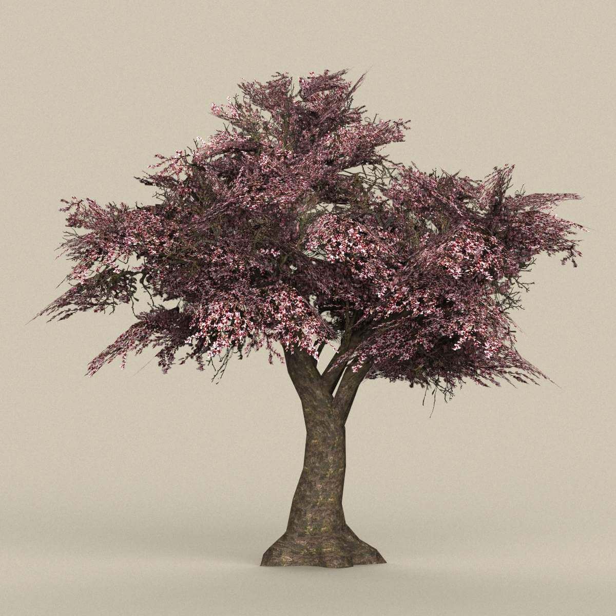 Tree 34 - 3D Model by TreeWorld3d