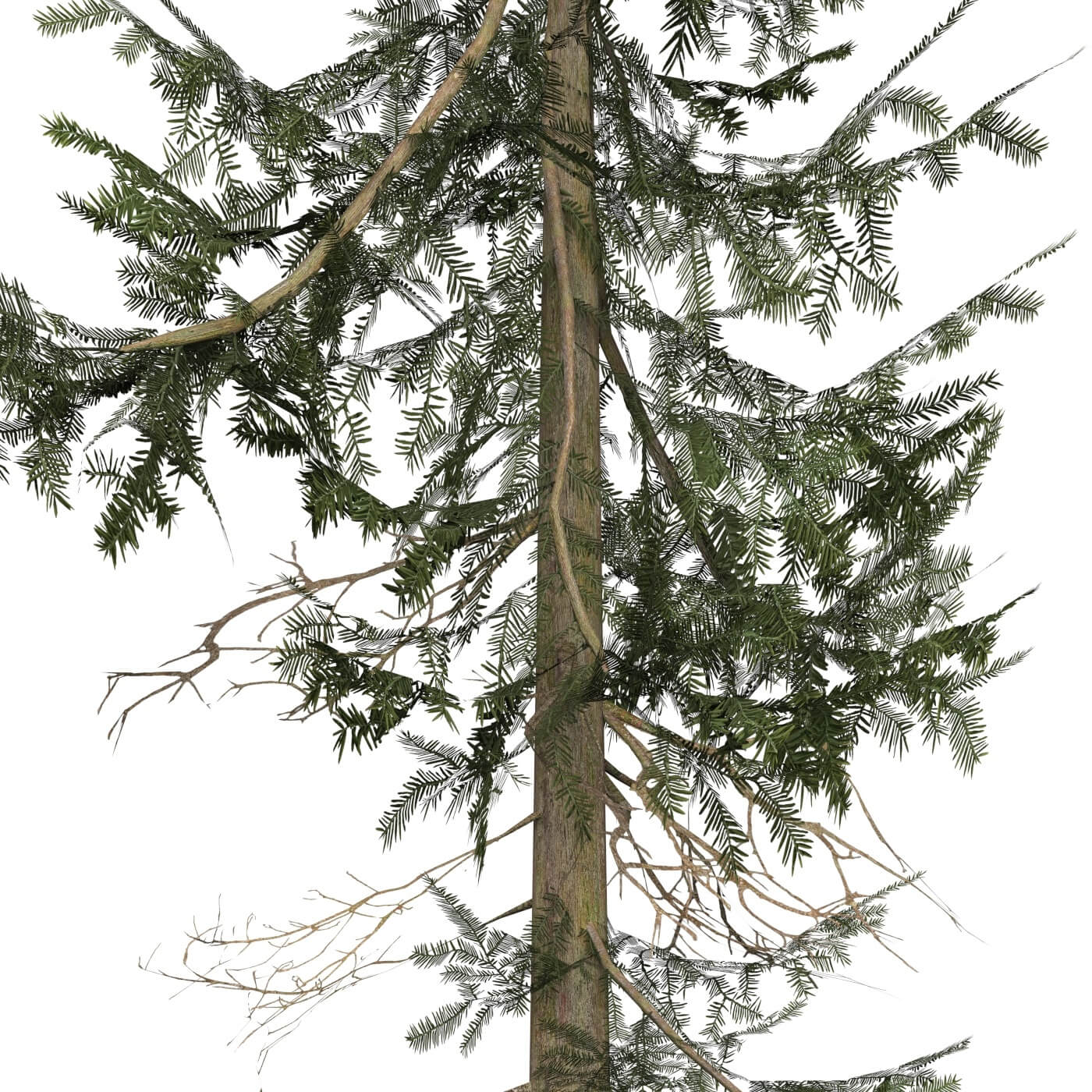 Game Ready Tree 35 - 3D Model by TreeWorld3d