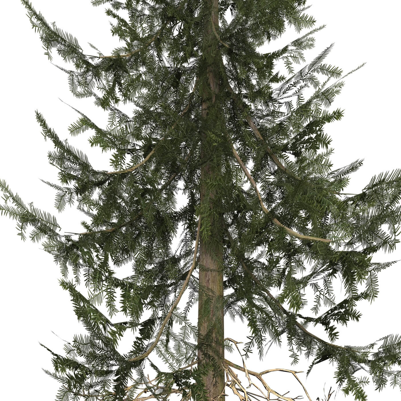 Game Ready Tree 36 - 3D Model by TreeWorld3d