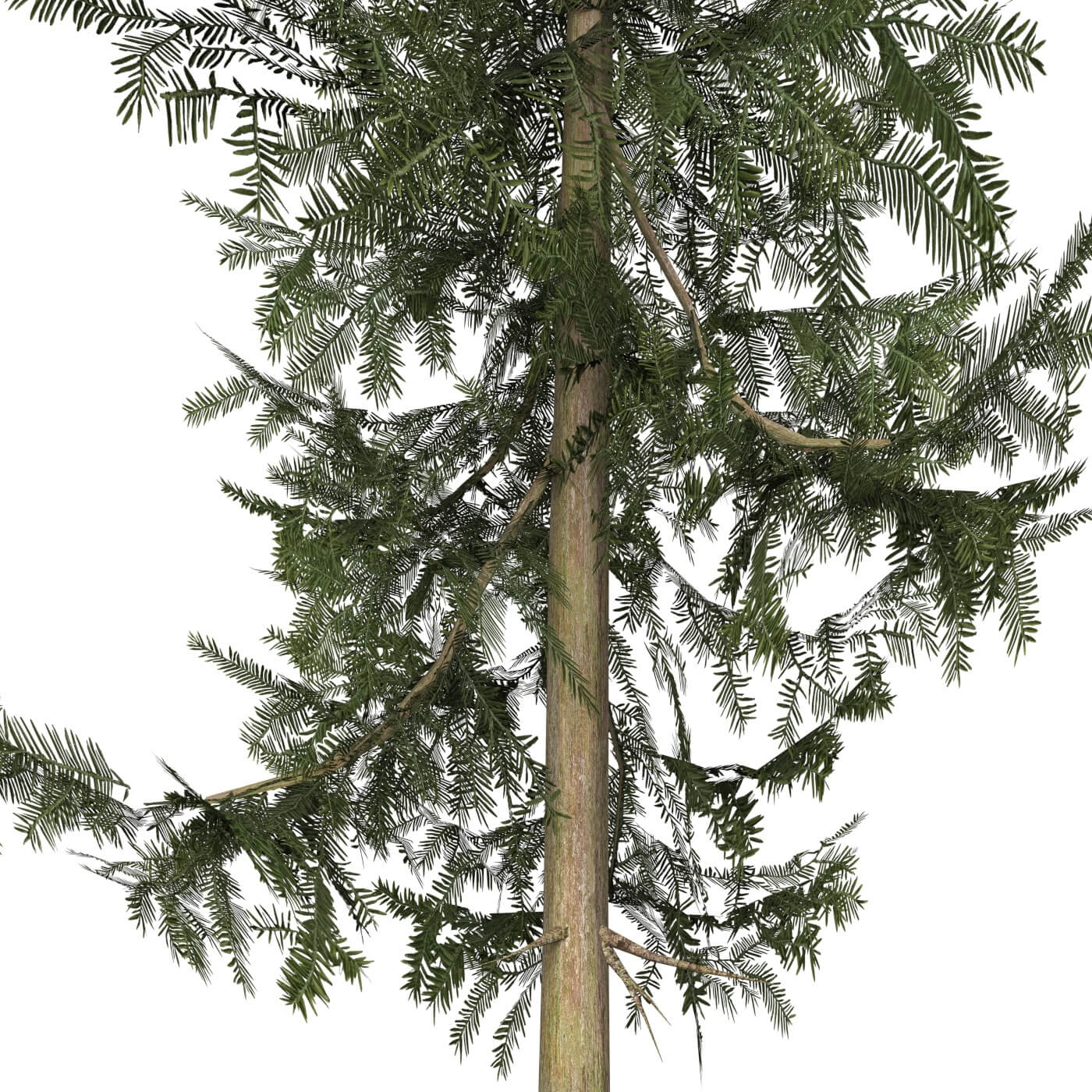 Game Ready Tree 38 - 3D Model by TreeWorld3d