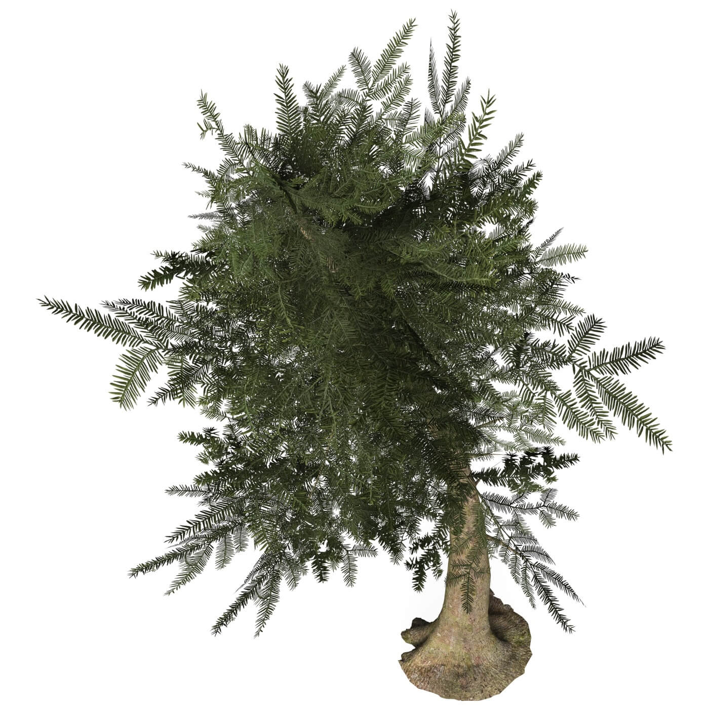 Game Ready Tree 38 - 3D Model by TreeWorld3d