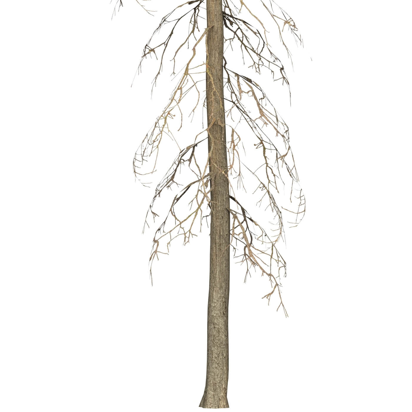 Game Ready Tree 41 - 3D Model by TreeWorld3d