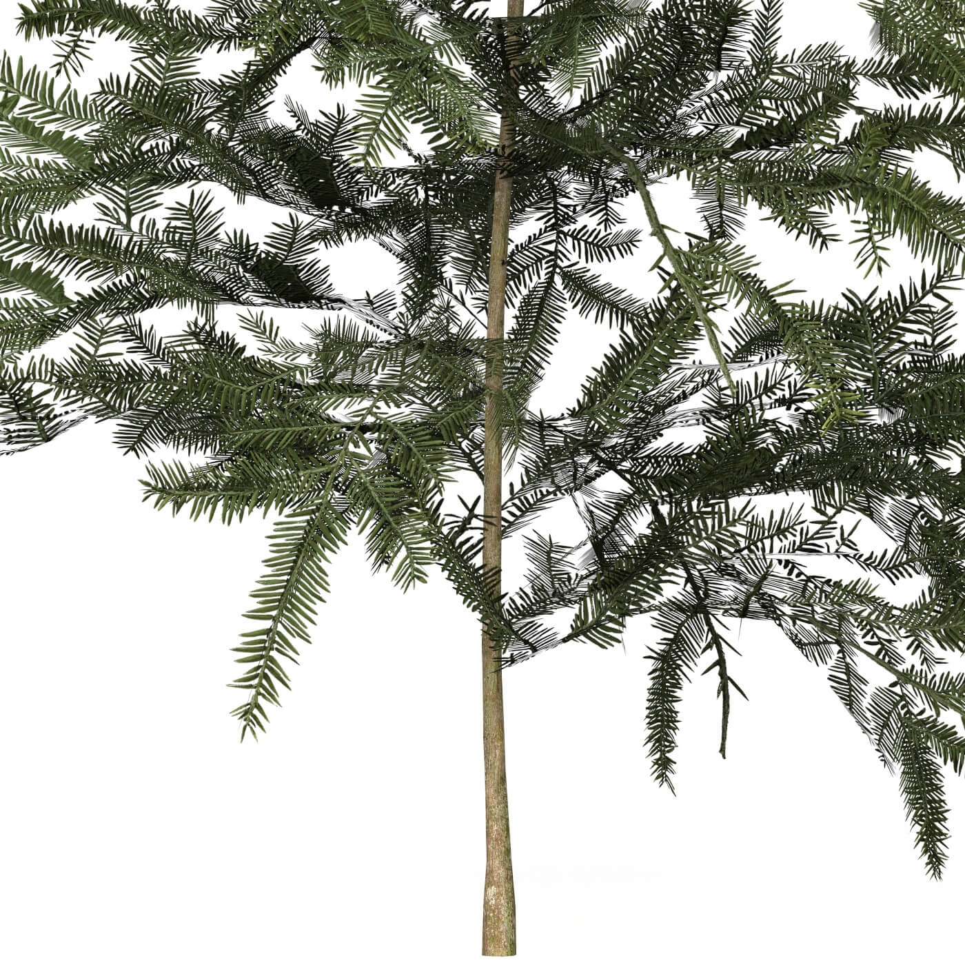 Game Ready Tree 42 - 3D Model by TreeWorld3d