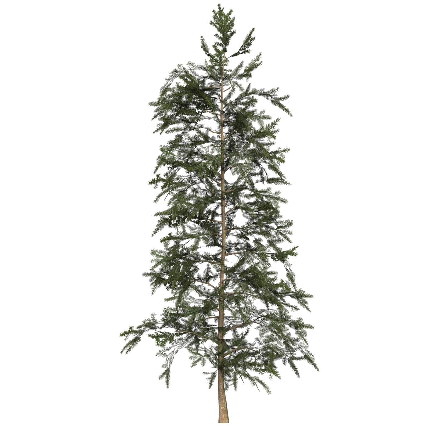 Game Ready Tree 43 - 3D Model by TreeWorld3d