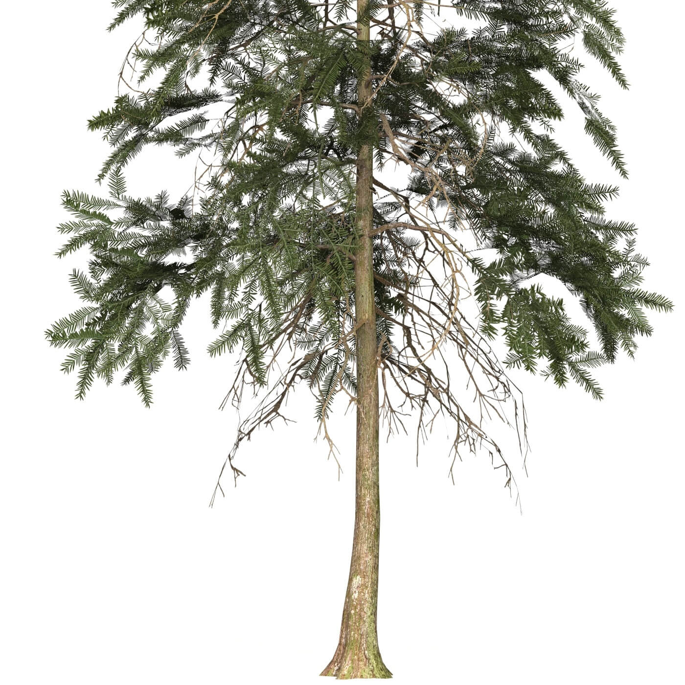 Game Ready Tree 44 - 3D Model by TreeWorld3d