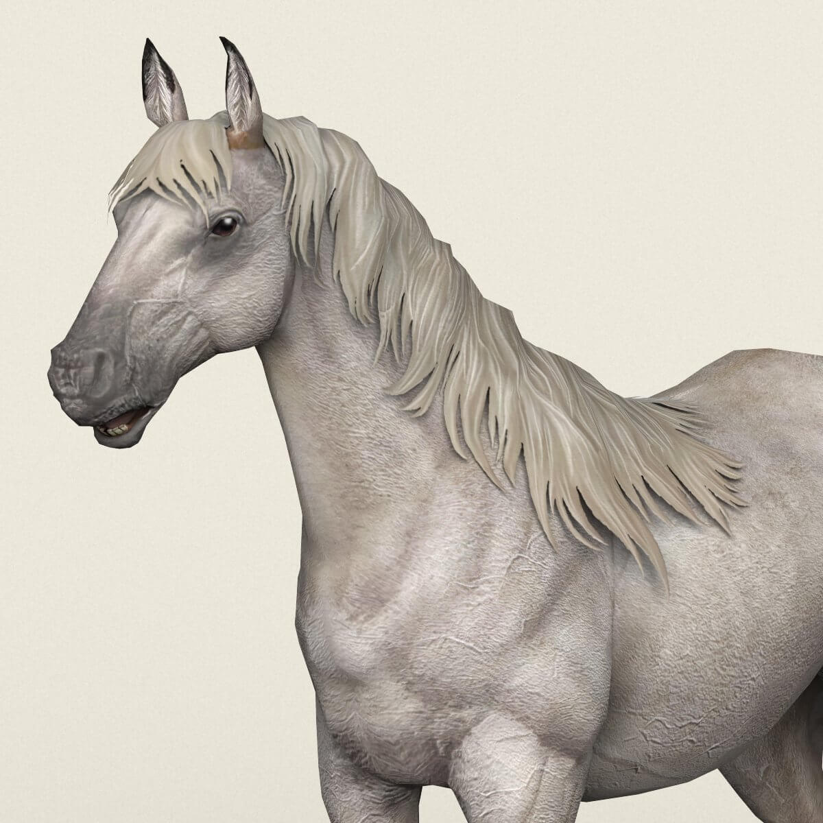 White Horse - 3D Model by TreeWorld3d