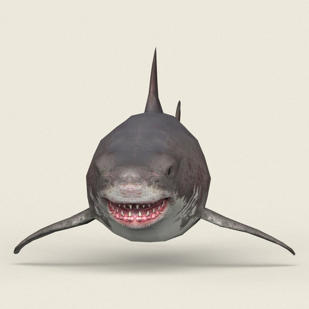 White Shark - 3D Model by TreeWorld3d