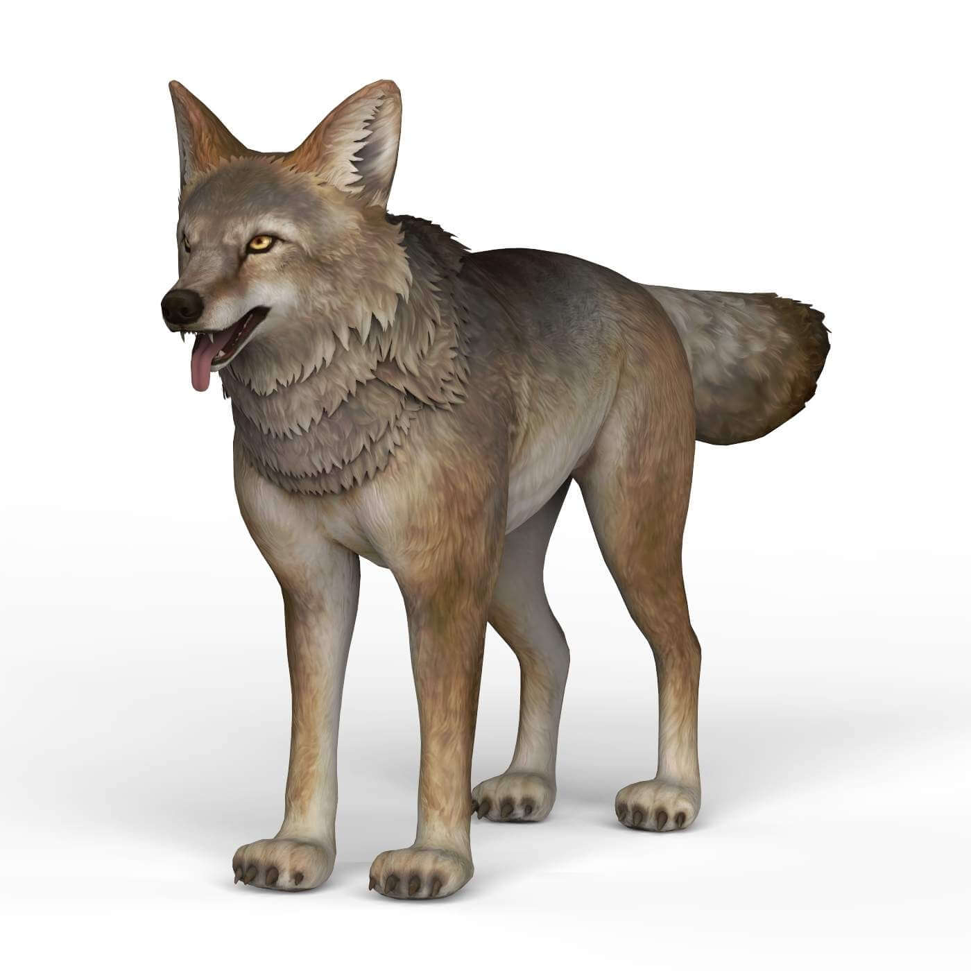 Wolf - 3D Model by TreeWorld3d