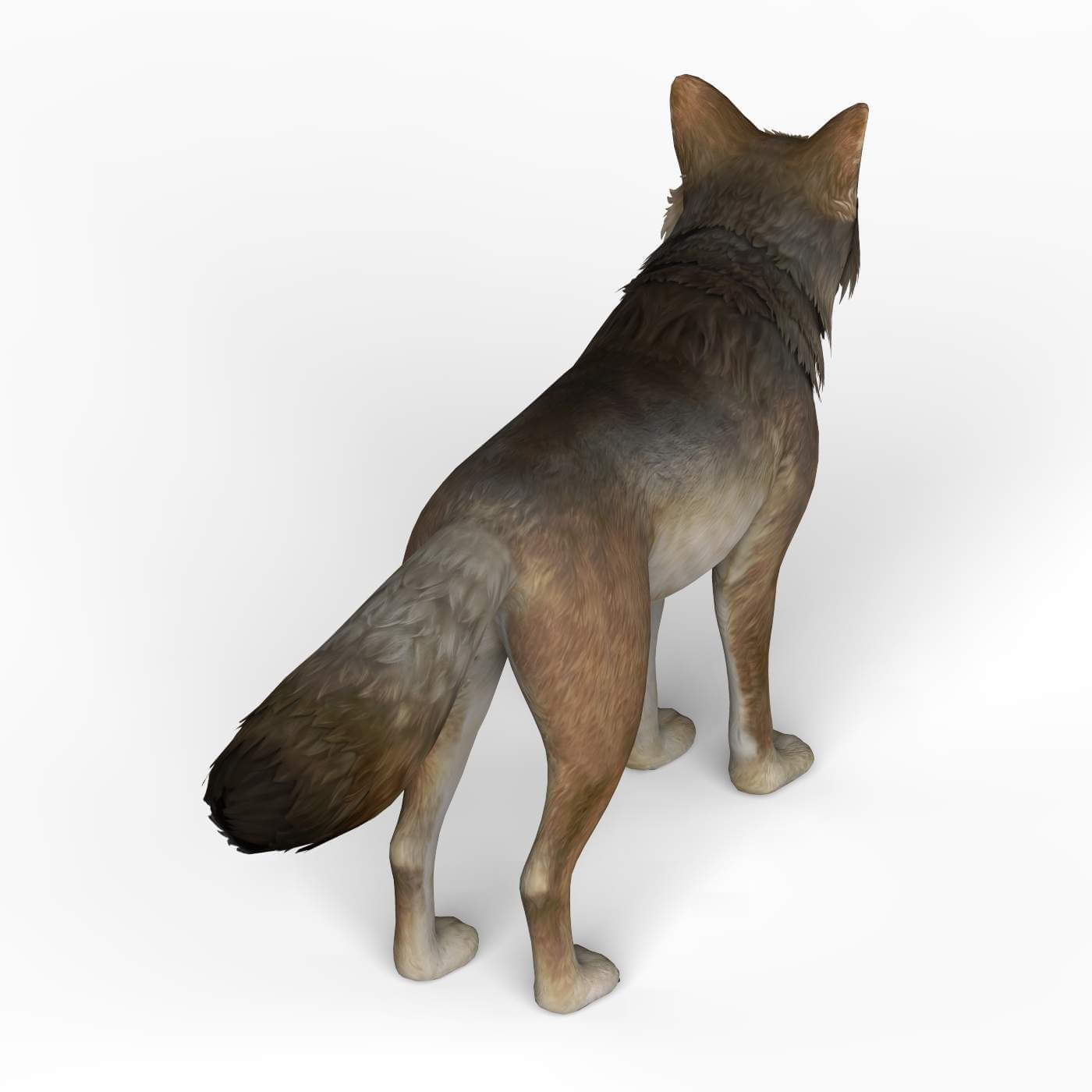 Wolf - 3D Model by TreeWorld3d