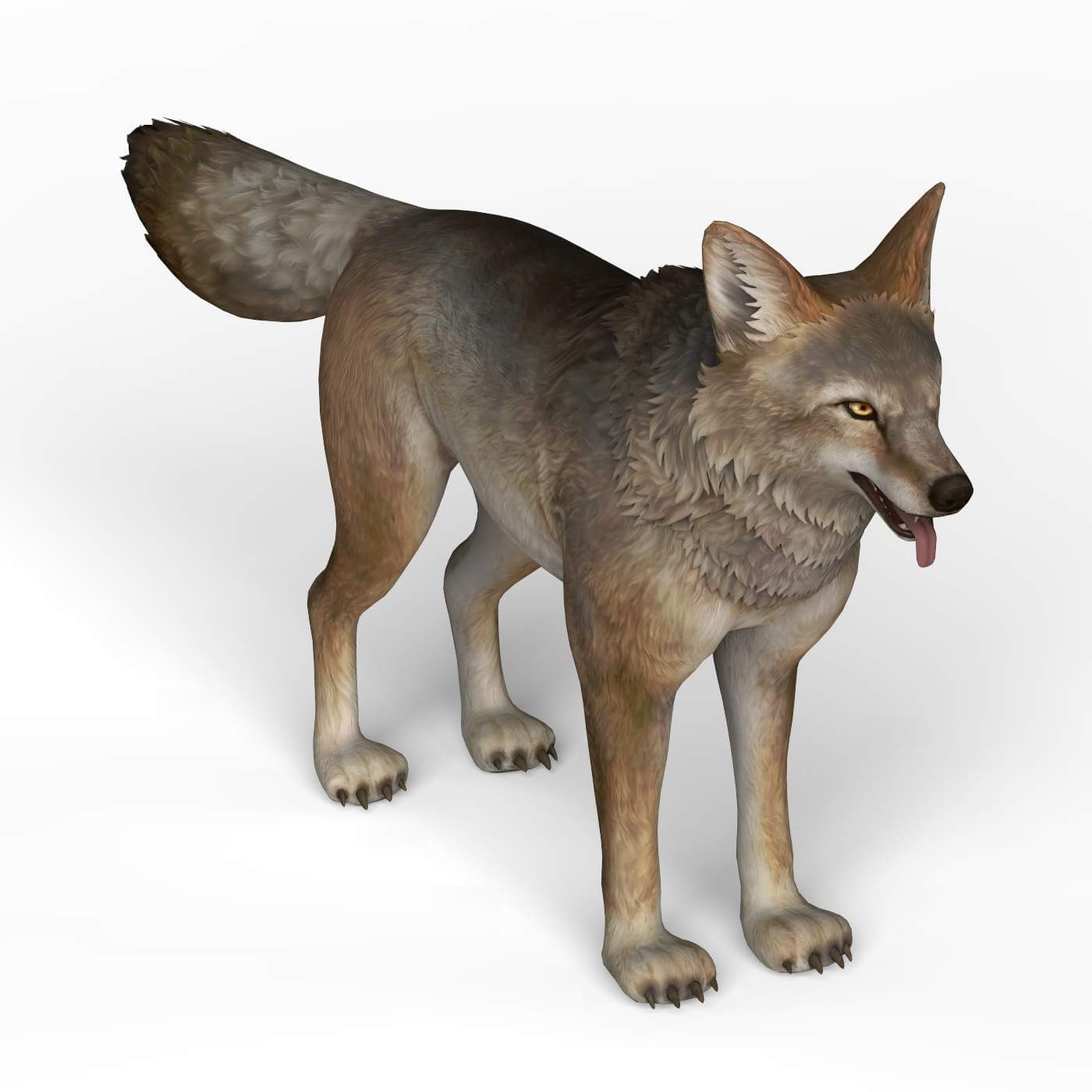 Wolf - 3D Model by TreeWorld3d