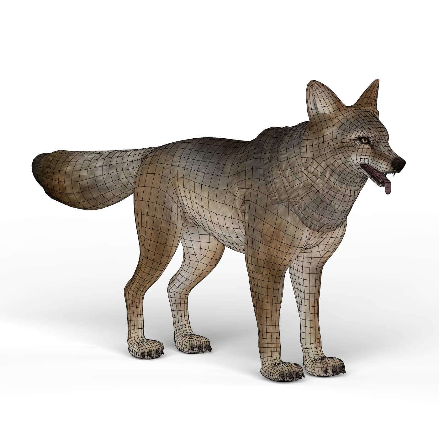 Wolf - 3D Model by TreeWorld3d