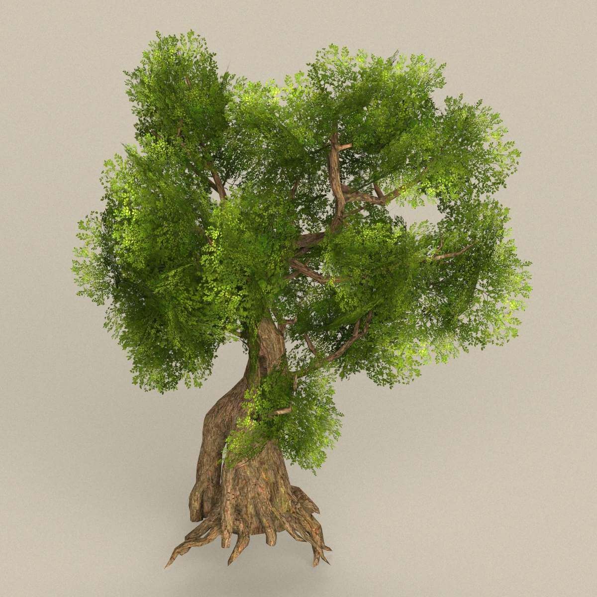 10 Tree Collection - 3D Model by TreeWorld3d