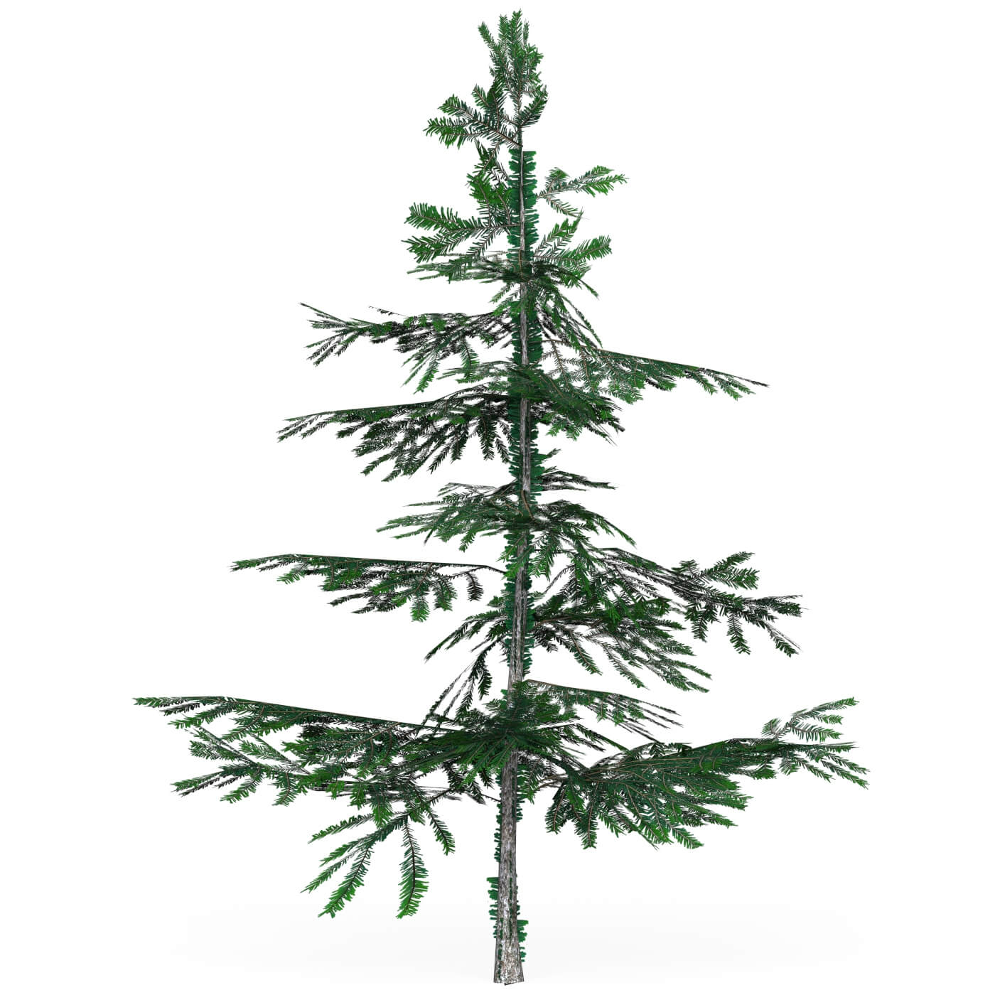 Low Poly Pine Tree 01 - 3D Model by TreeWorld3d