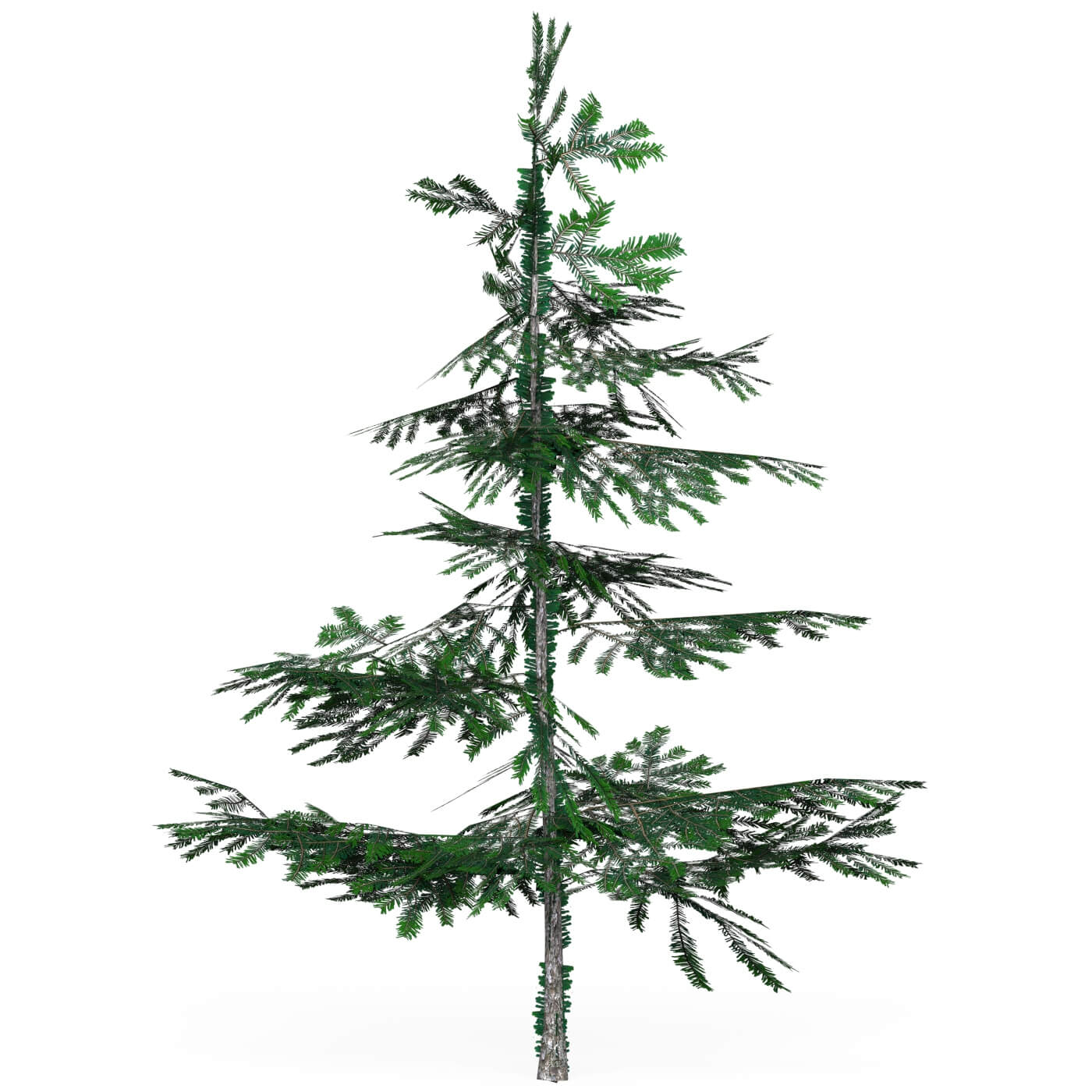 Low Poly Pine Tree 01 - 3D Model by TreeWorld3d