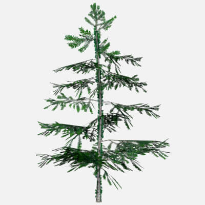 Low Poly Pine Tree 01 - 3D Model by TreeWorld3d