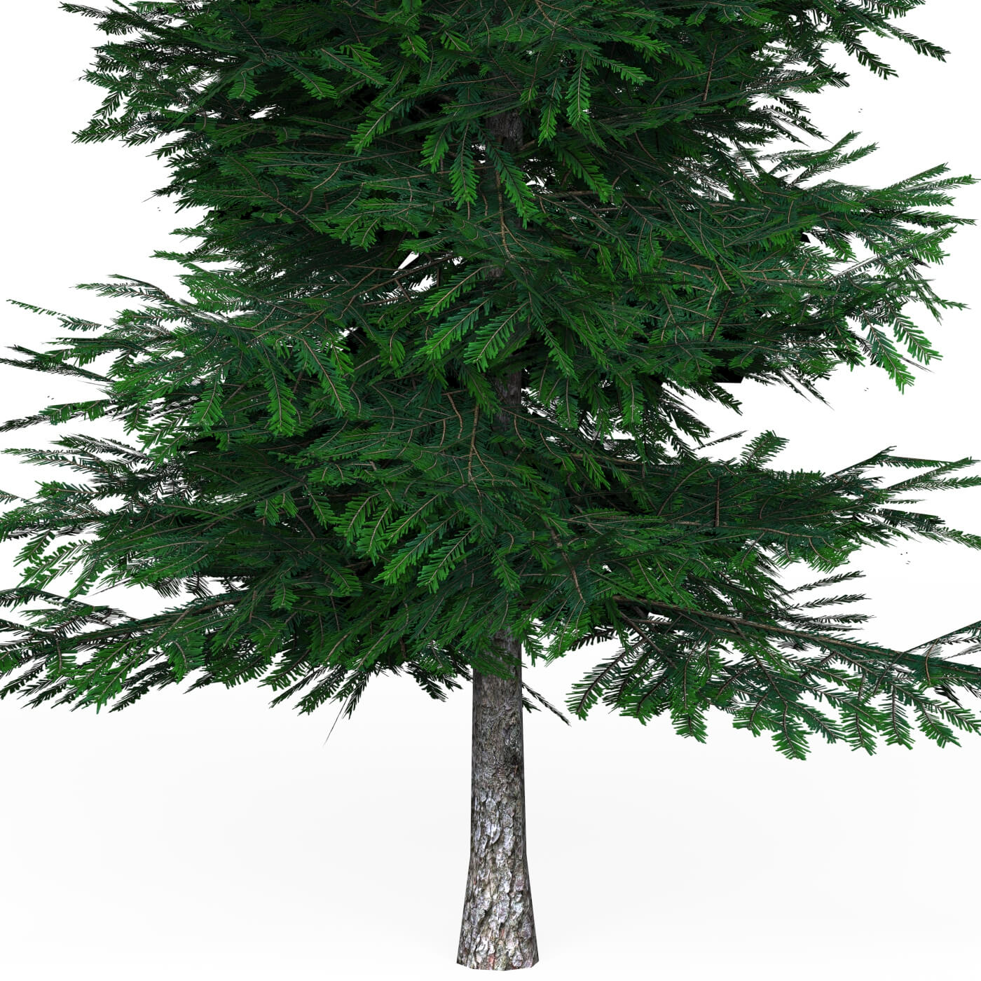 Low Poly Pine Tree 02 - 3D Model by TreeWorld3d