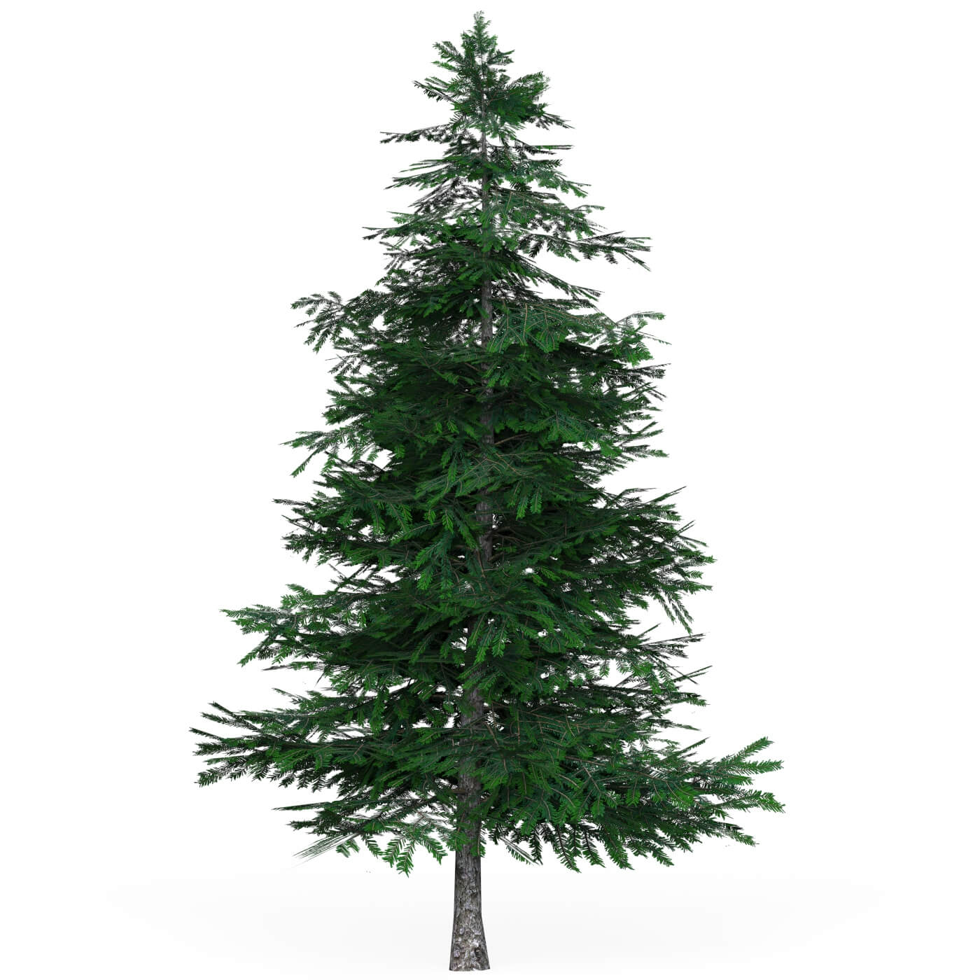 Low Poly Pine Tree 02 - 3D Model by TreeWorld3d