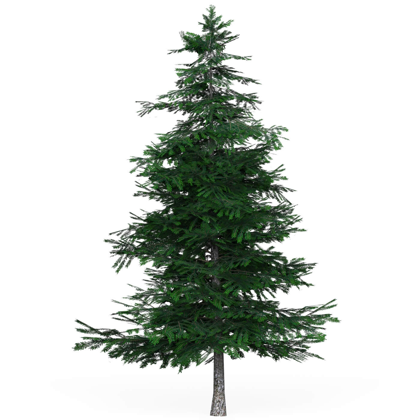 Low Poly Pine Tree 02 - 3D Model by TreeWorld3d