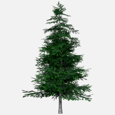 Low Poly Pine Tree 02 - 3D Model by TreeWorld3d