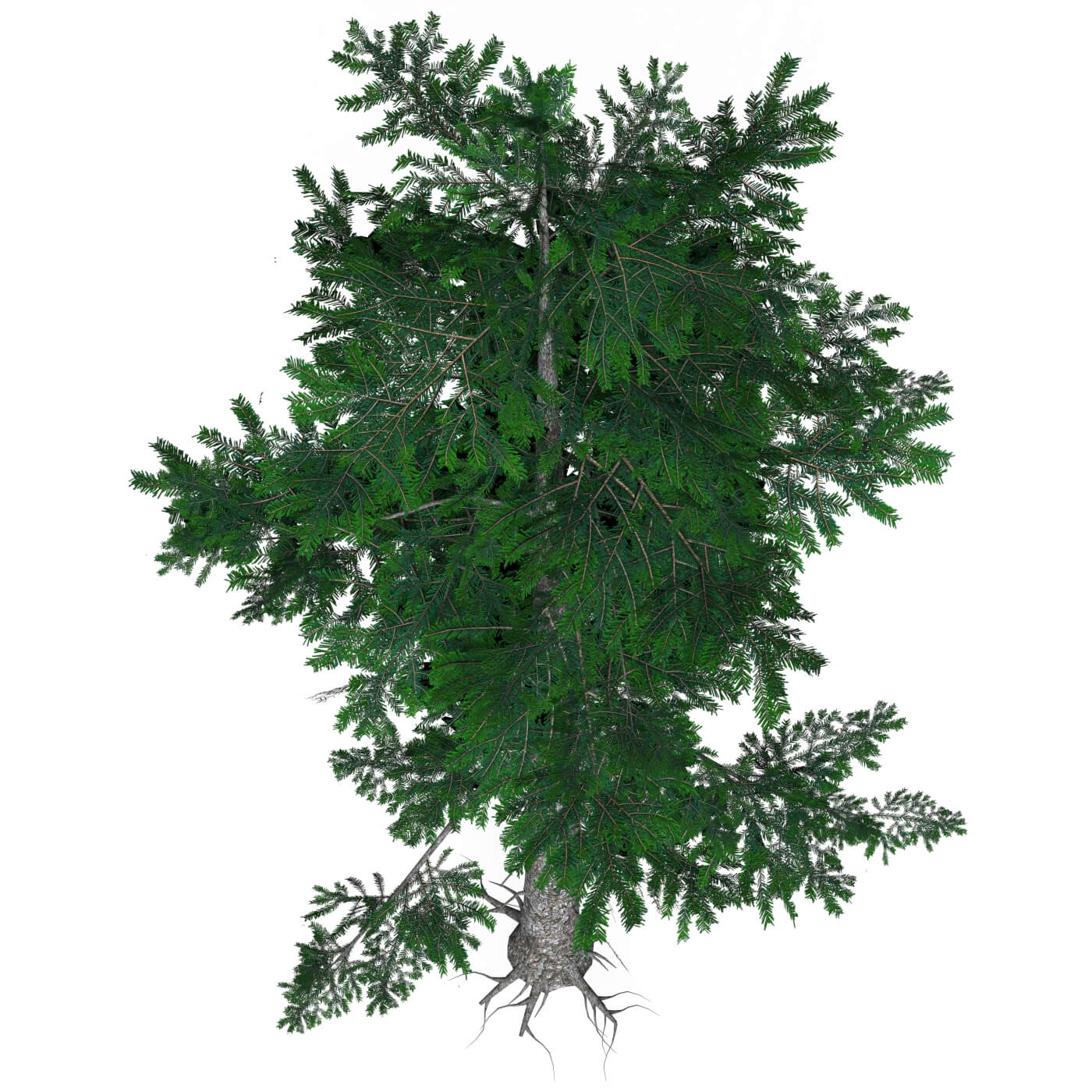 Low Poly Pine Tree 06 - 3D Model by TreeWorld3d