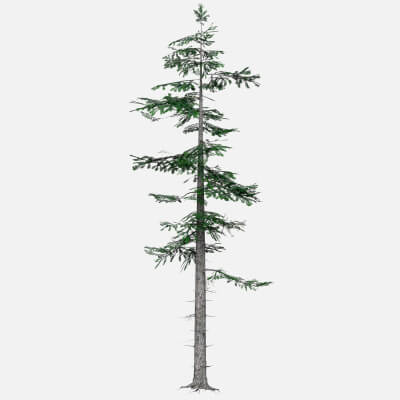 Low Poly Pine Tree 06 - 3D Model by TreeWorld3d